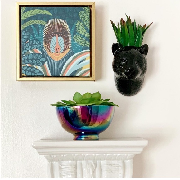 Opalhouse | Wall Decor | Opalhouse Earthenware Black Leopard Wall ...